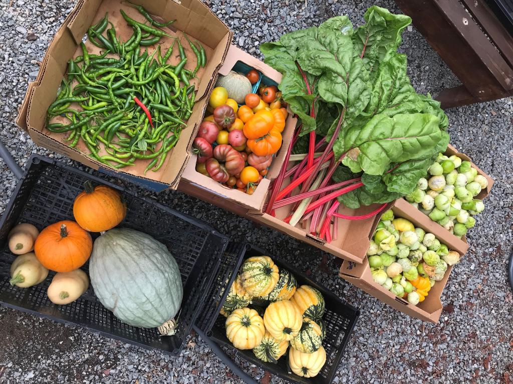 Mindful Menus: The Northwest School Serves Up Their Values | Farm Forward