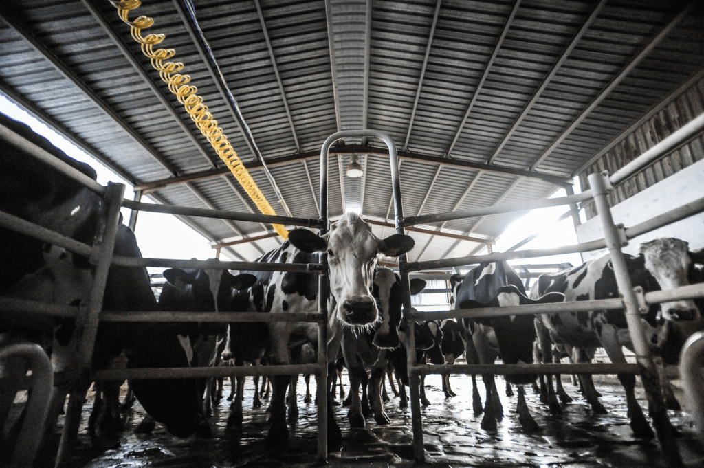 Farm Forward Calls on Oregon Department of Environmental Quality to ...