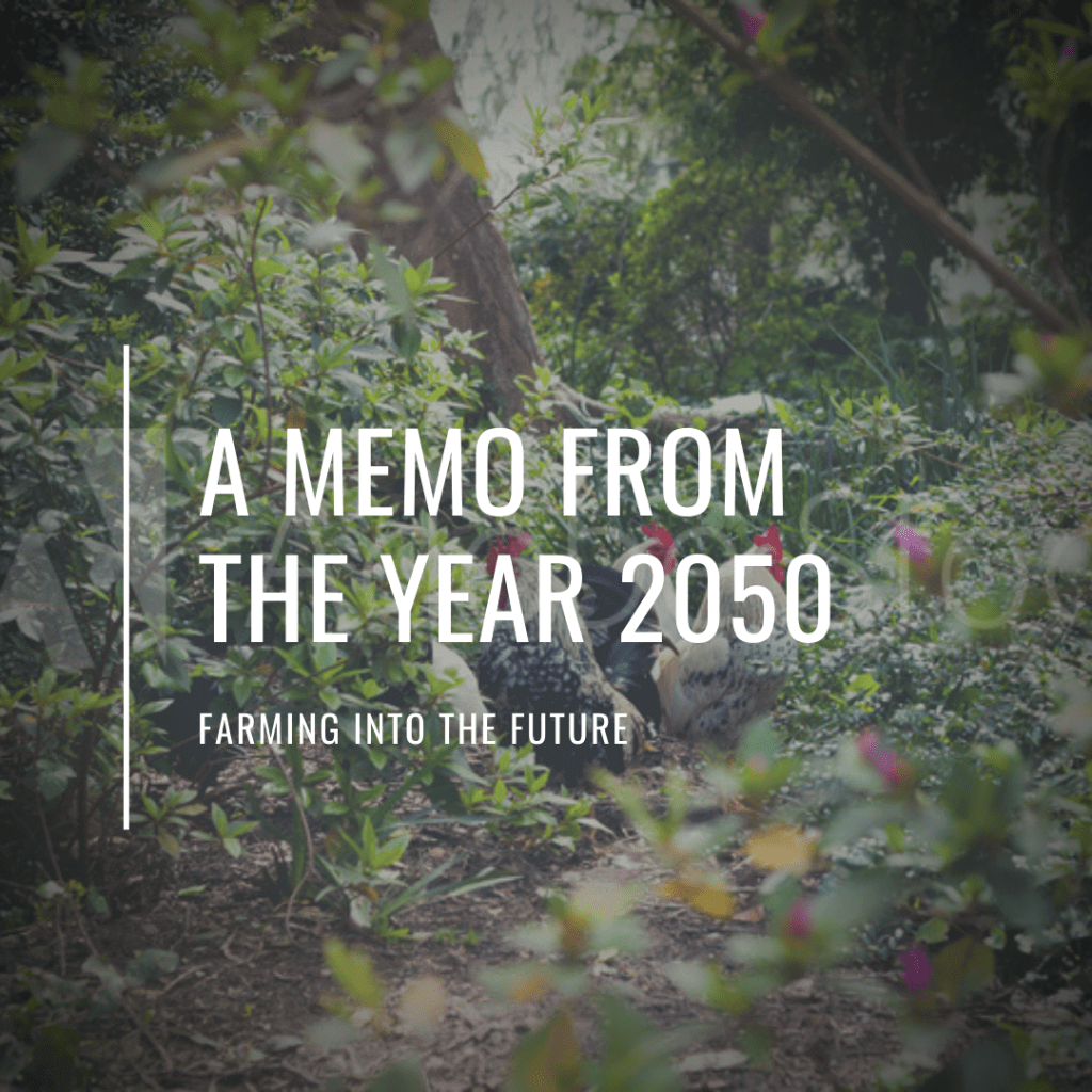 Farming Into the Future | Farm Forward