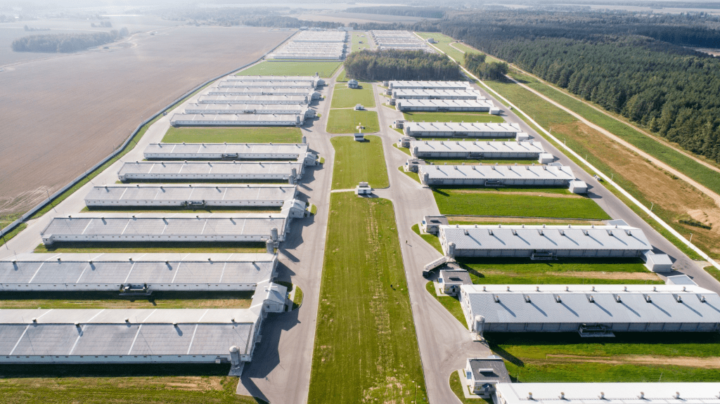 You Can Thank This Chicken Industry Trade Group for Big Poultry's ...