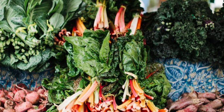 Our Impact | Farm Forward