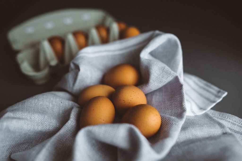 Jewish Initiative for Animals | Farm Forward