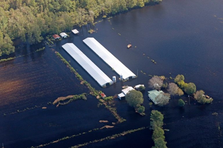 Factory Farms in the Flood Zone: A Farm Forward Interview | Farm Forward