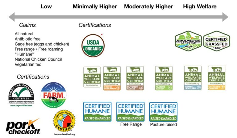 Highest welfare farming | Farm Forward