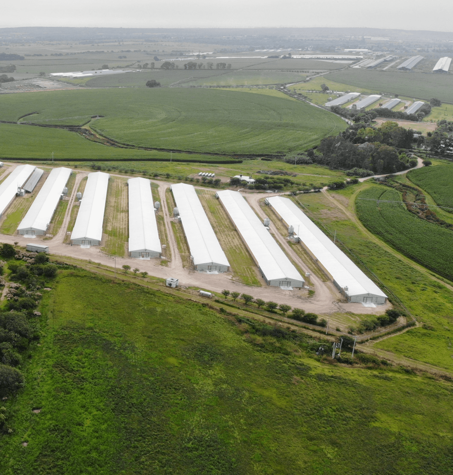 Working with Yale University to Address Factory Farming | Farm Forward