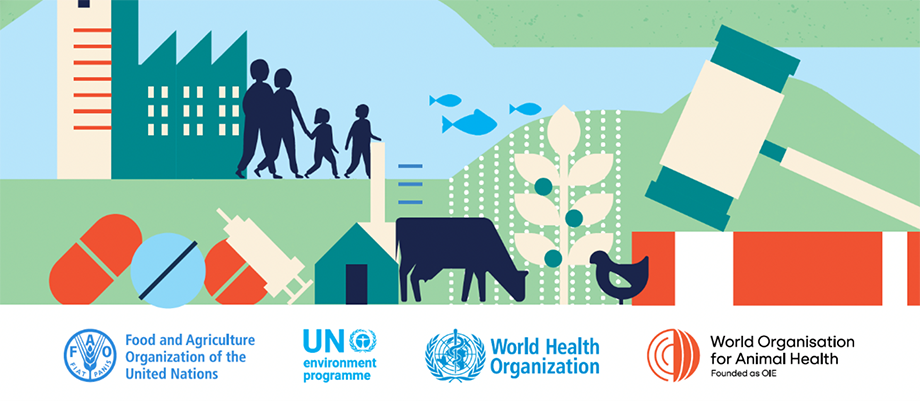 “One Health” Policies Fail to Address the Root Cause of Antimicrobial ...