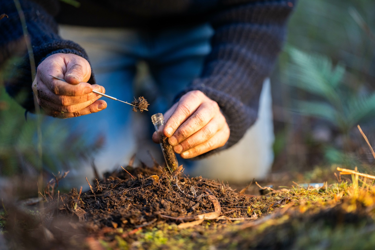 What is regenerative agriculture and what are its main principles ...